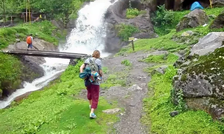 Attraction | Tosh Regency